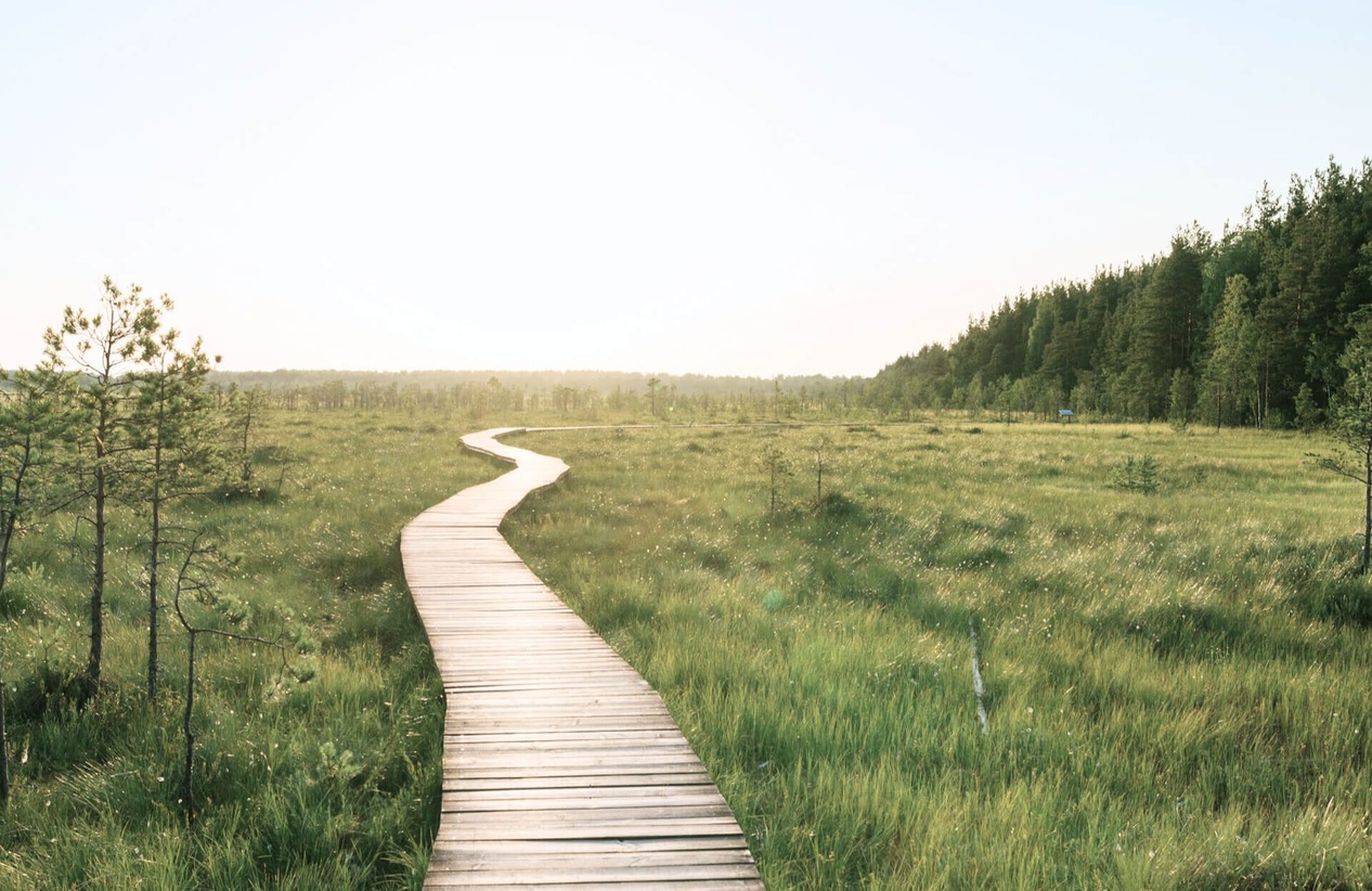 Looking for a new certifier? - Berlin Cert GmbH